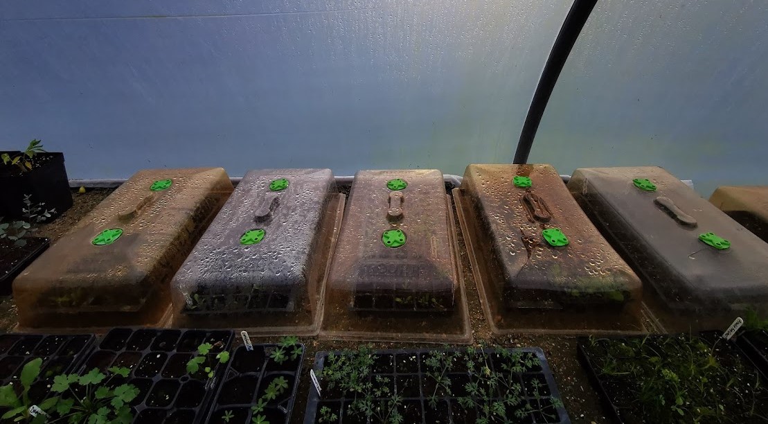Polytunnel Progress: Building a Heated Seed Bed – Homegrown and Hopeful