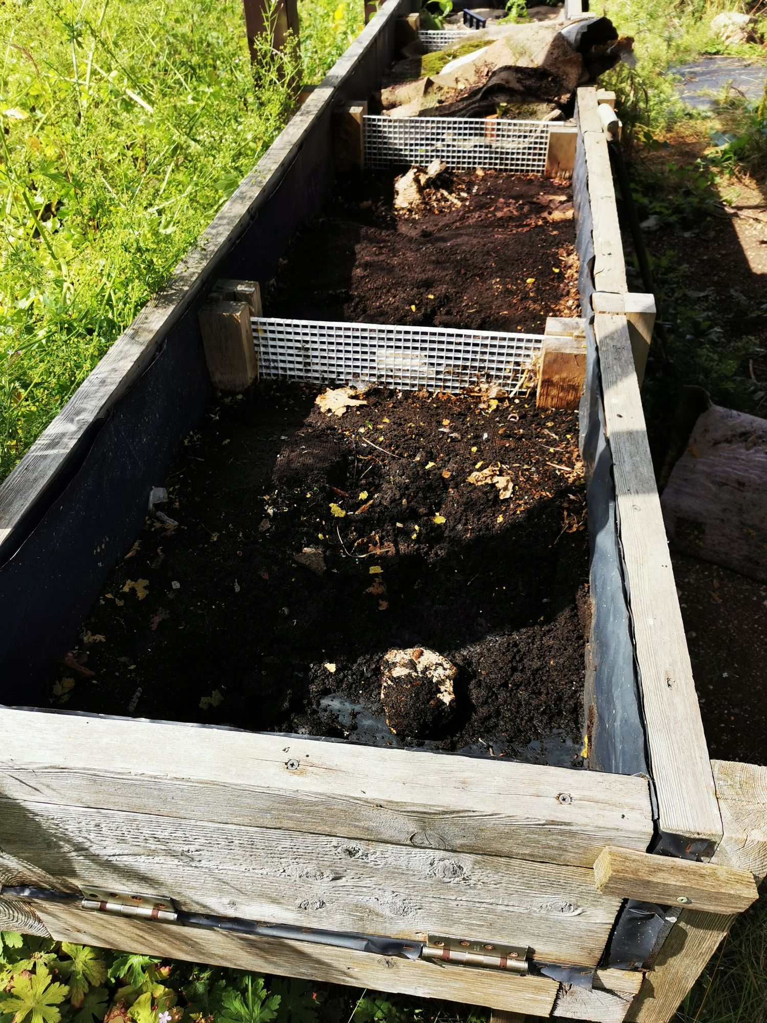 Harvesting compost from our worm farm that recycles waste into ...